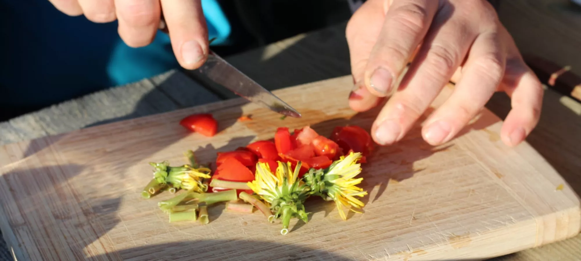 Start the spring fit with wild herbs and alkaline nutrition ... Fasting ...